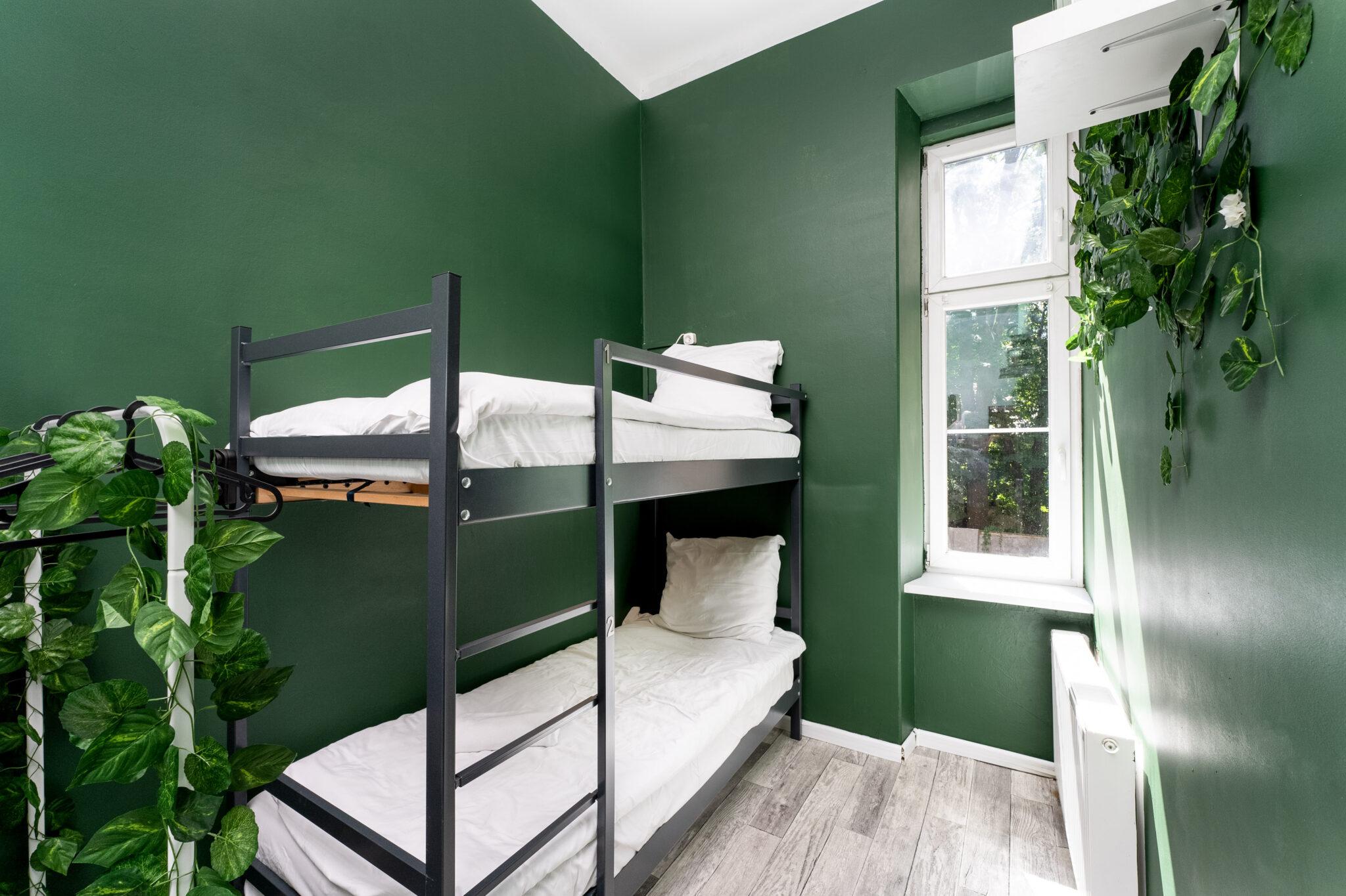 Forest Kingdom – RPG Hostel